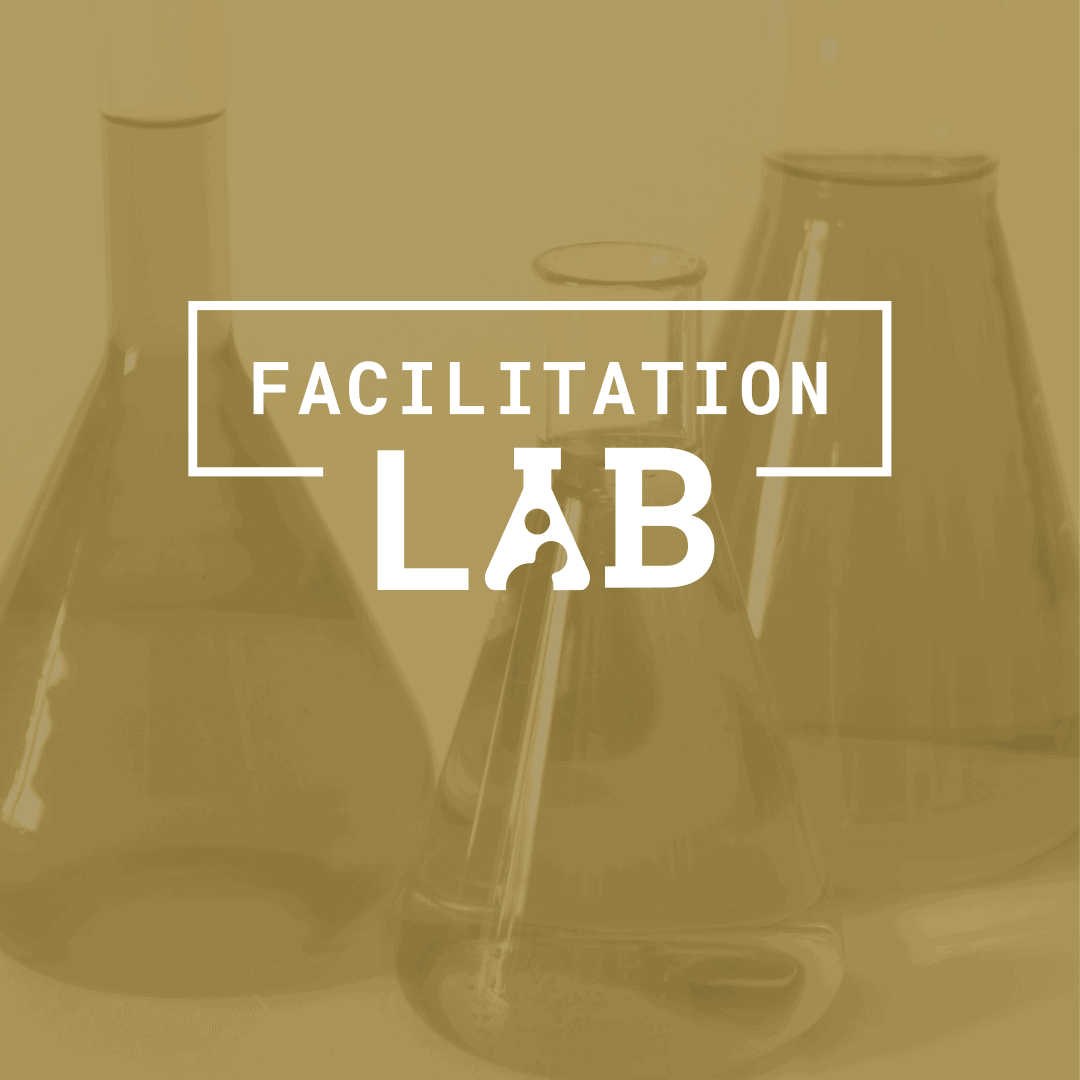Facilitation Lab